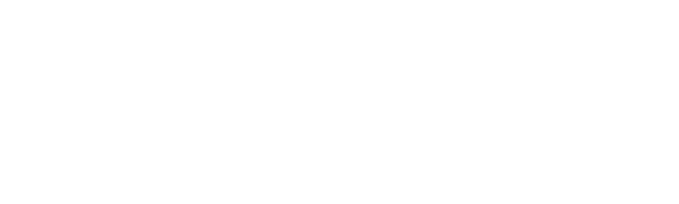 NIS Y HERRAMIENTAS DEL CINIF: IMPLEMENTACIÓN Y GUÍA PRÁCTICA DE USO ...